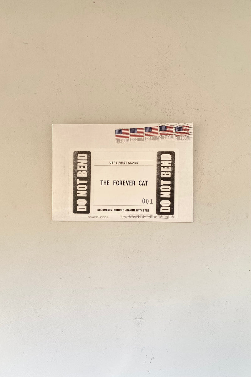 THE FOREVER CAT Card Set 1 / THE FOREVER CAT - Utrecht