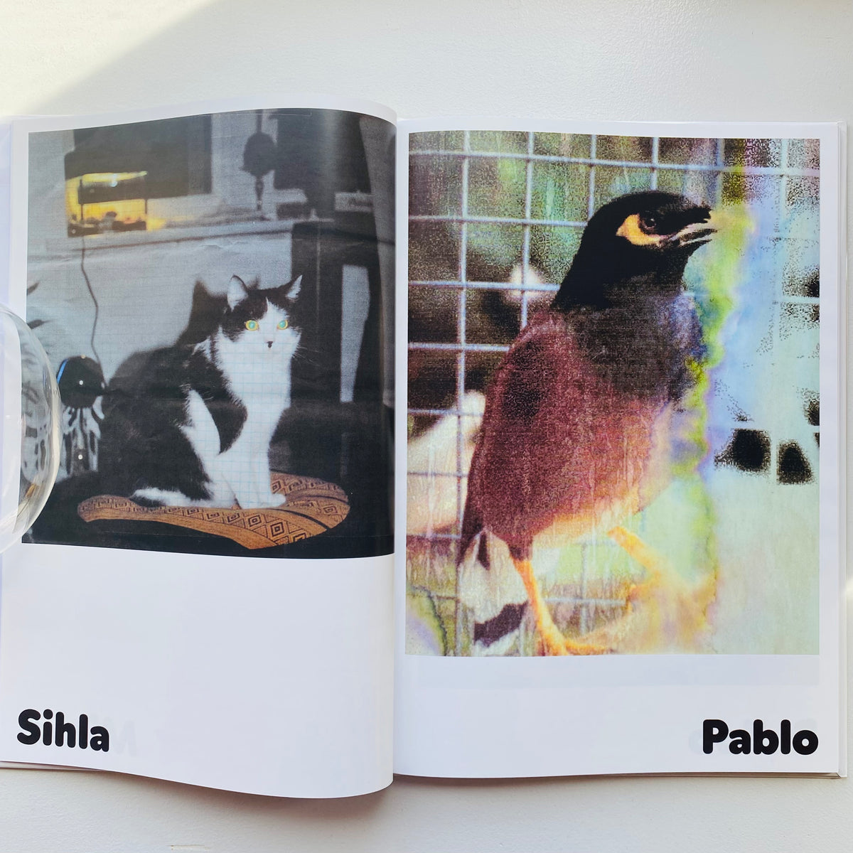 Paul / Alain Rappaport - Utrecht