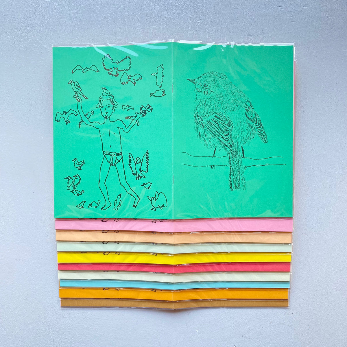 THE BIRDS ZINE - Utrecht
